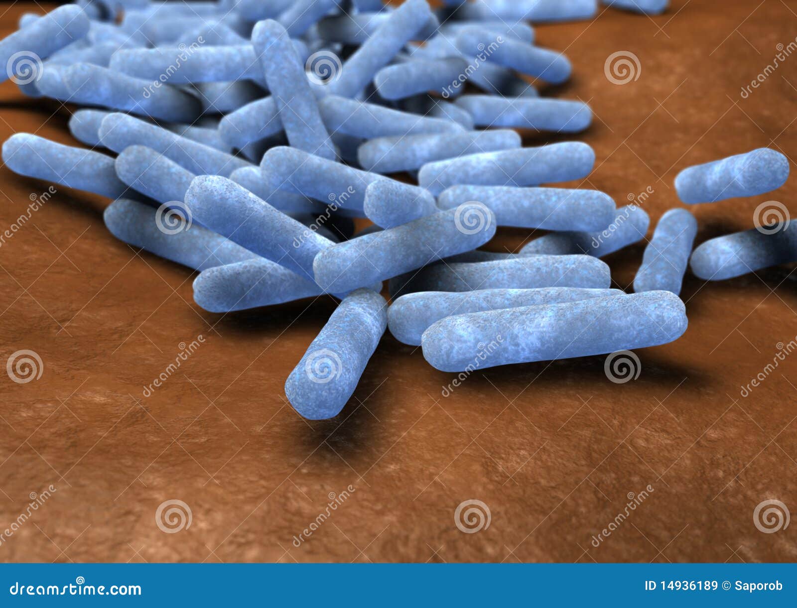 Escherichia Coli stock illustration. Illustration of health - 14936189