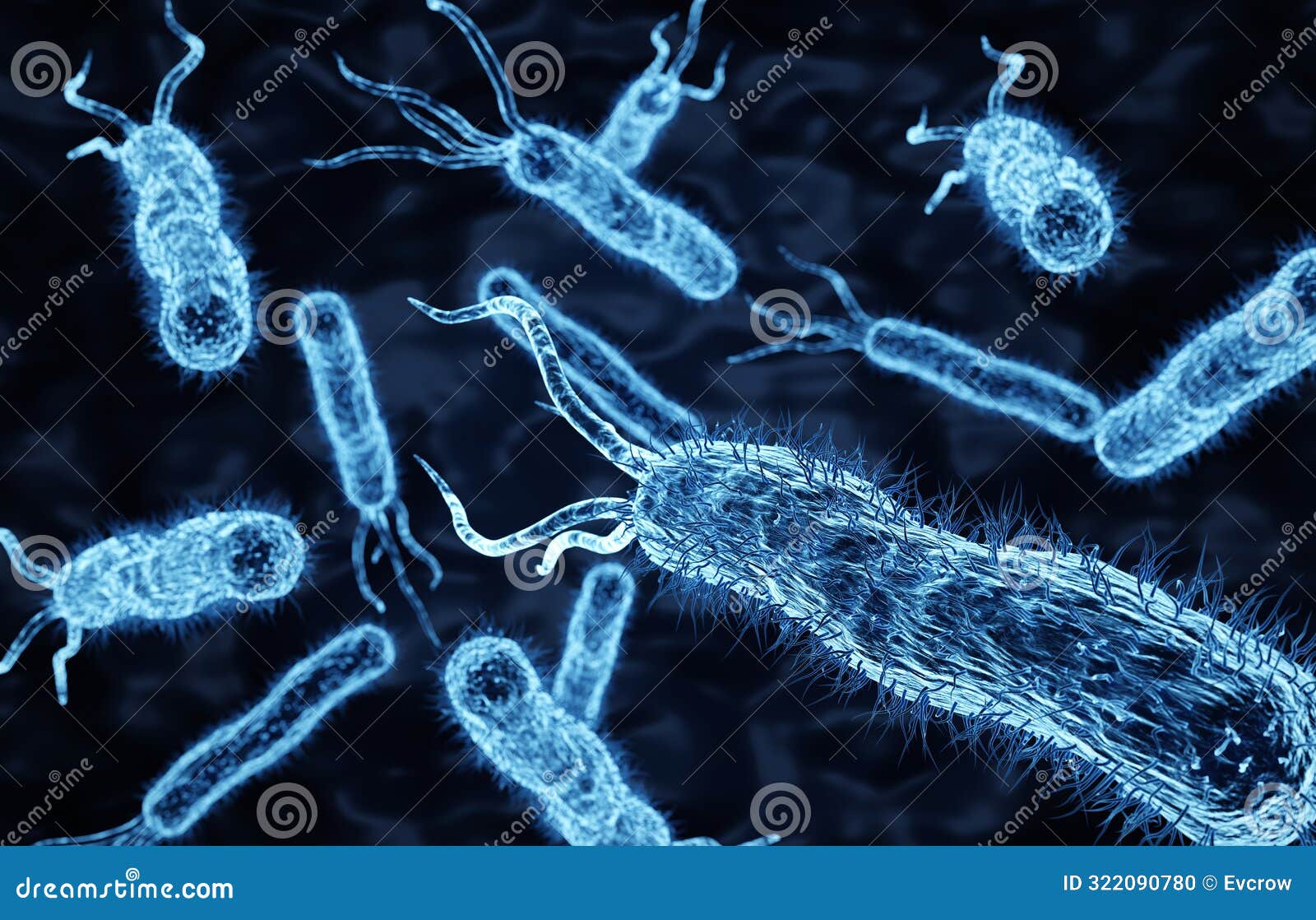 Escherichia Coli Bacteria Cell Royalty-Free Stock Image | CartoonDealer ...