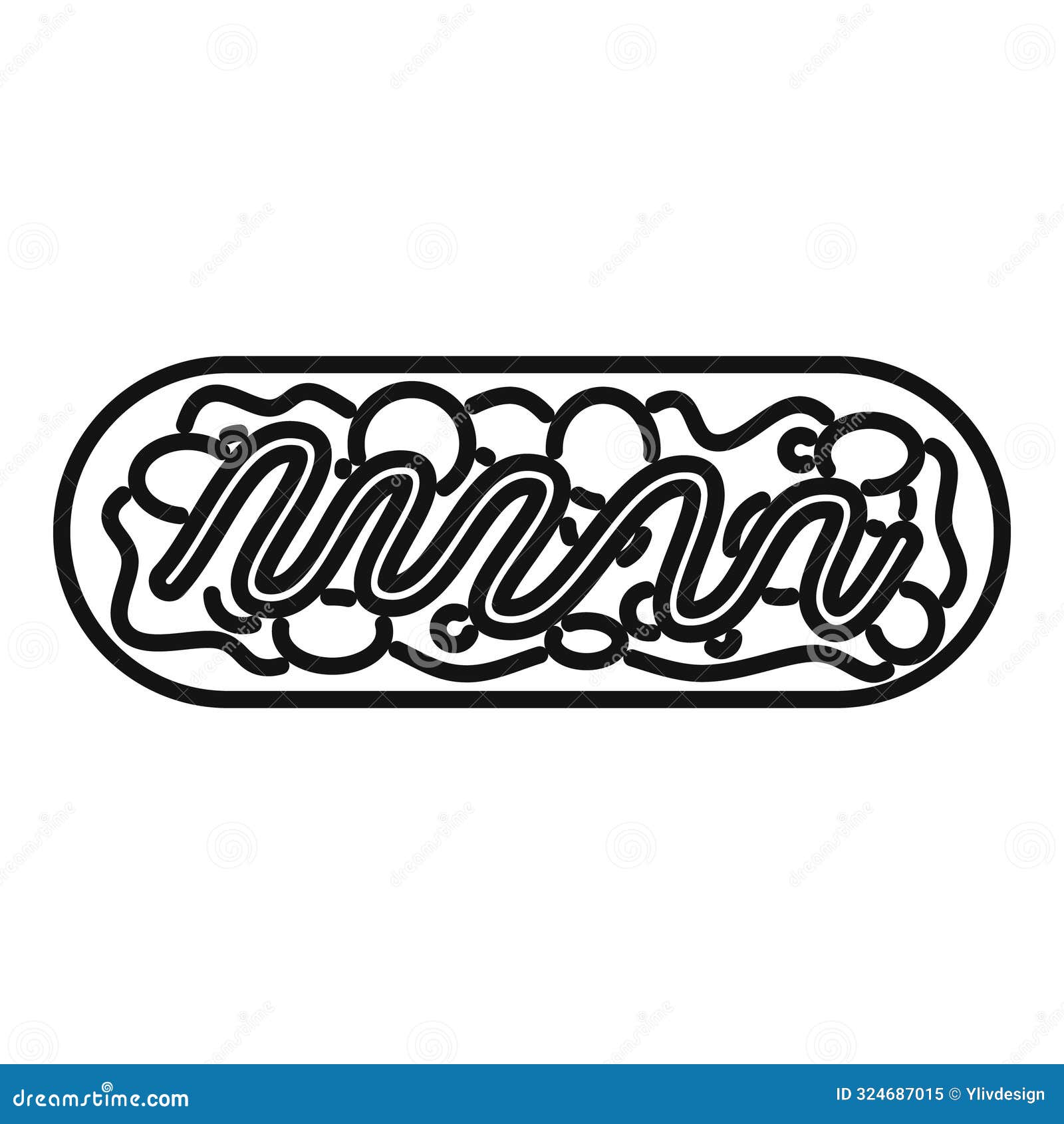 Escherichia Coli Bacteria Showing Nucleoid Inside Cell Membrane Stock ...