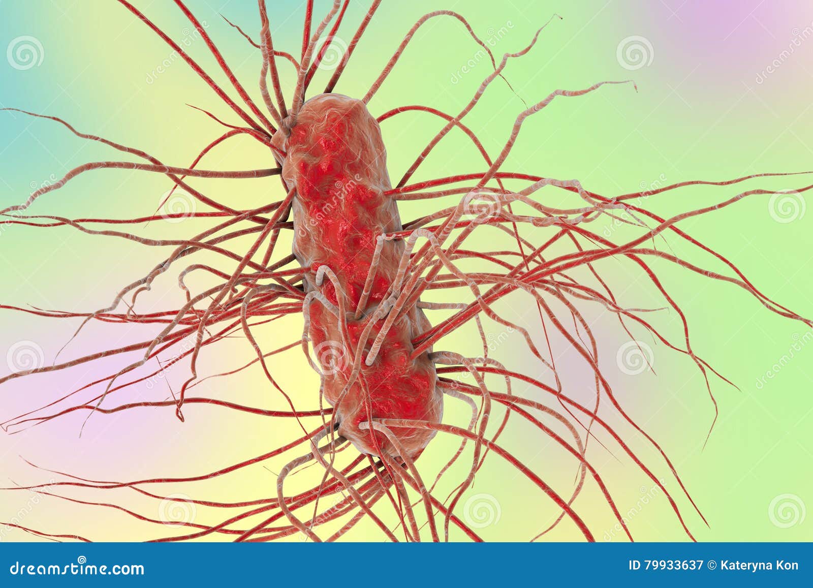 Escherichia coli-bacterie stock illustratie. Illustration of wetenschap ...