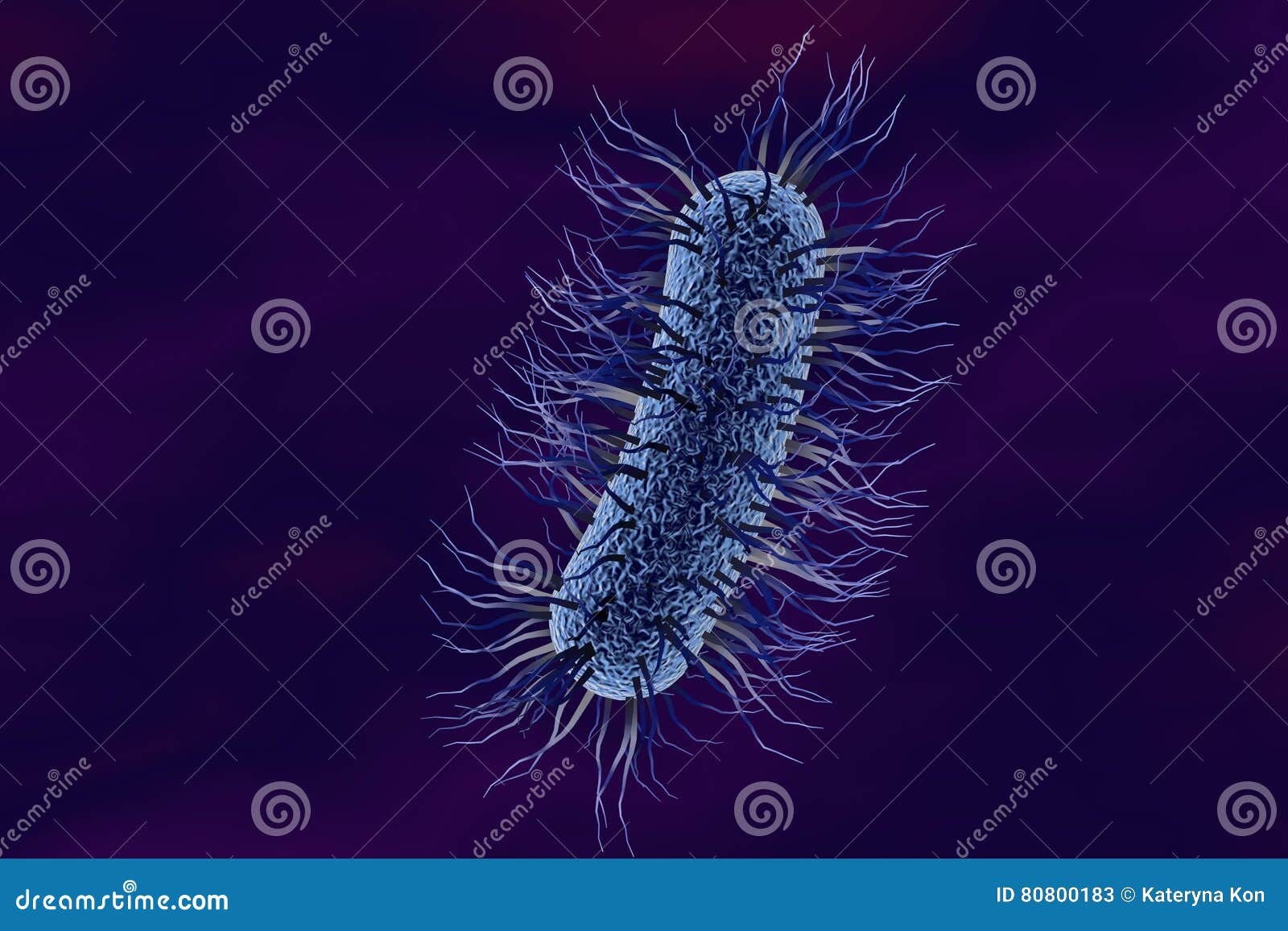 Escherichia coli-bacterie stock illustratie. Illustration of ...