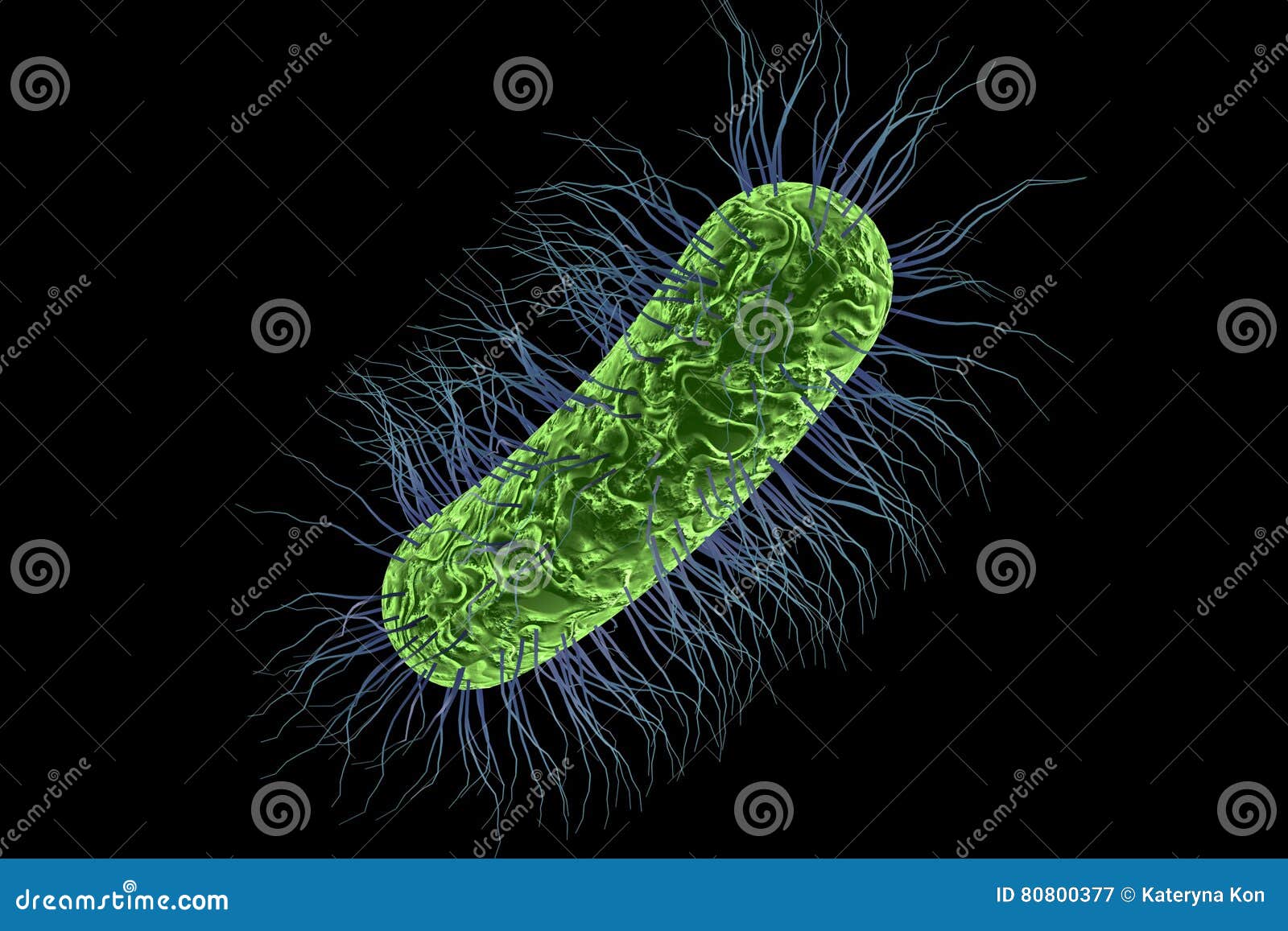 Escherichia coli-bacterie stock illustratie. Illustration of ...
