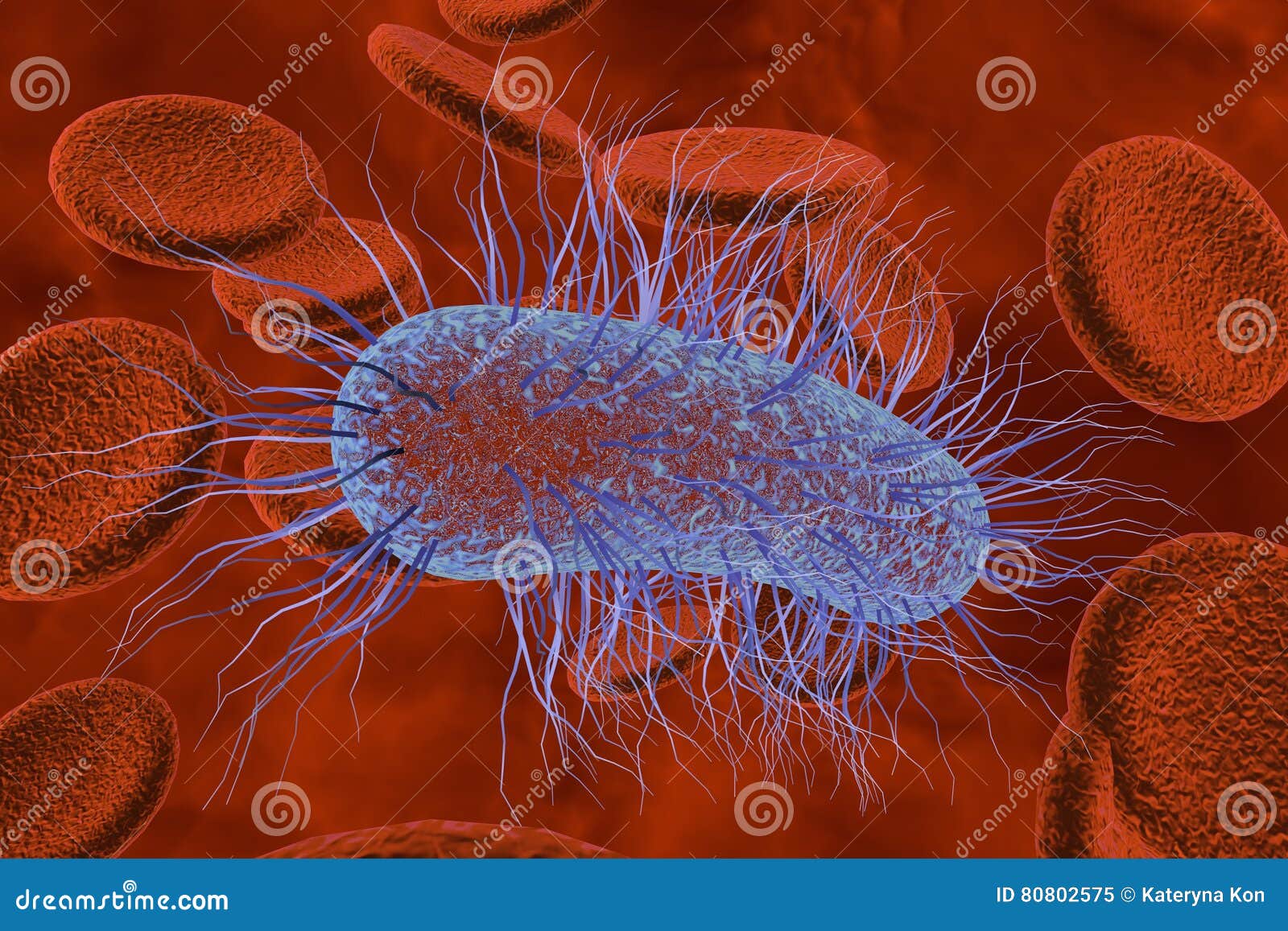 Escherichia coli bacterium stock illustration. Illustration of ...