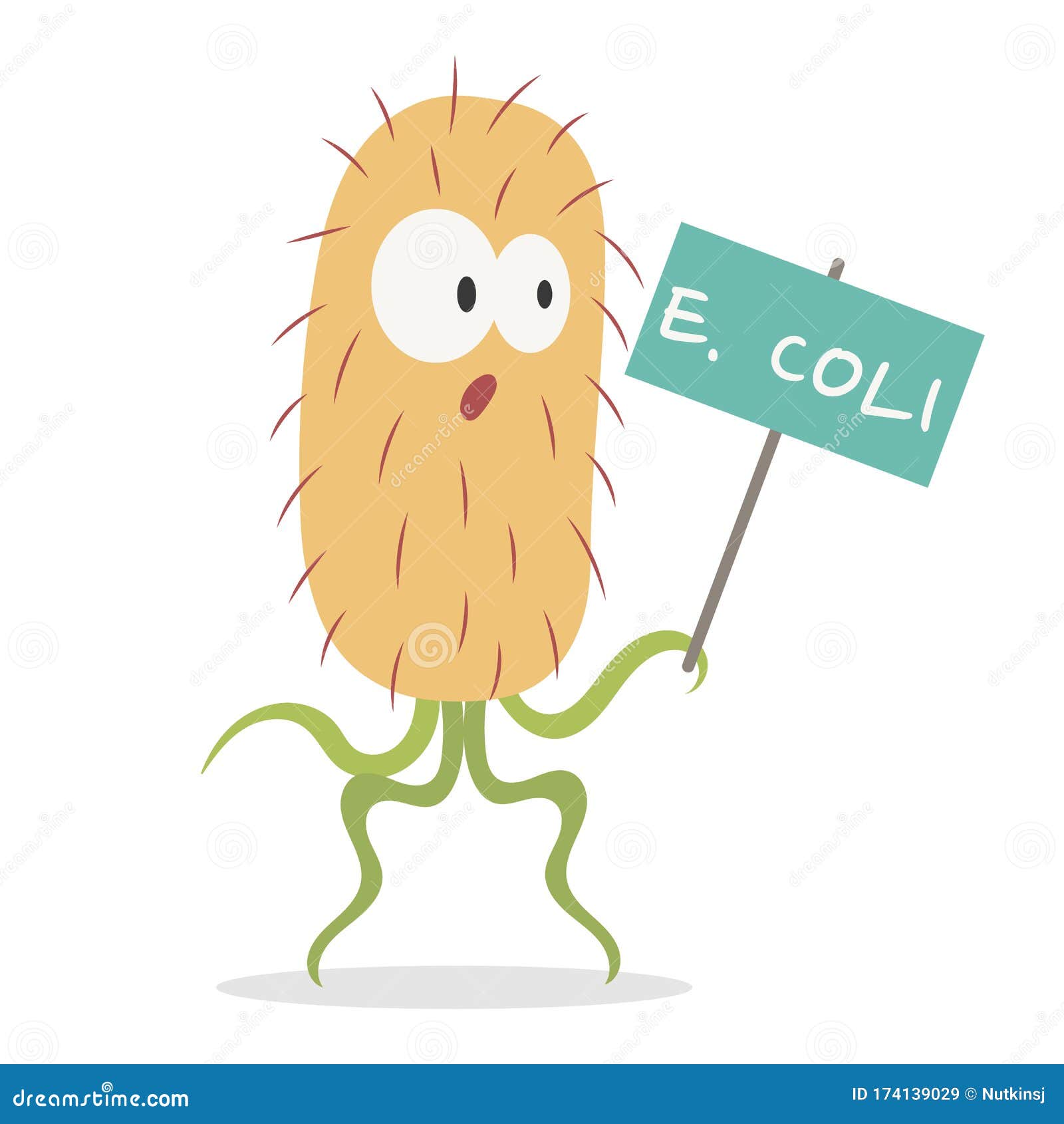 E. Coli Cell Stock Image | CartoonDealer.com #47159911 E. Coli Cell Stock Image | CartoonDealer.com #47159911