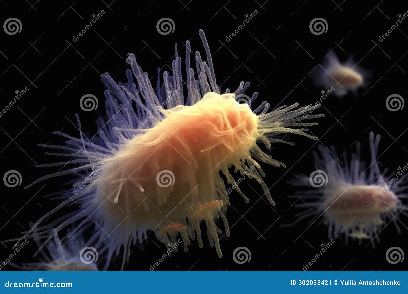 Escherichia coli. stock illustration. Illustration of magnifying ...