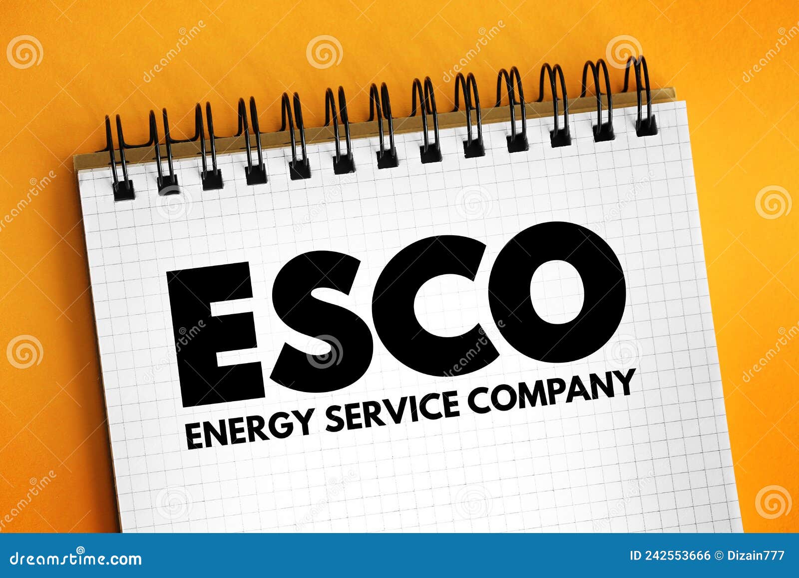 Esco Energy Services Company