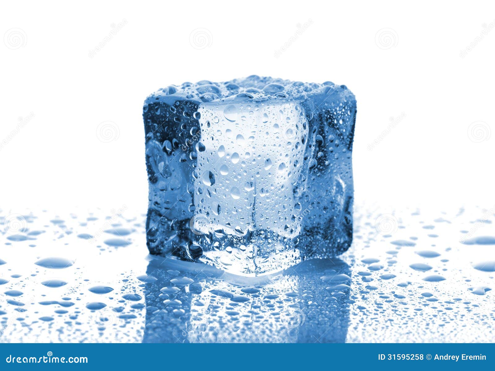 Escoja El Cubo De Hielo Derretido Foto de archivo - Imagen de ...