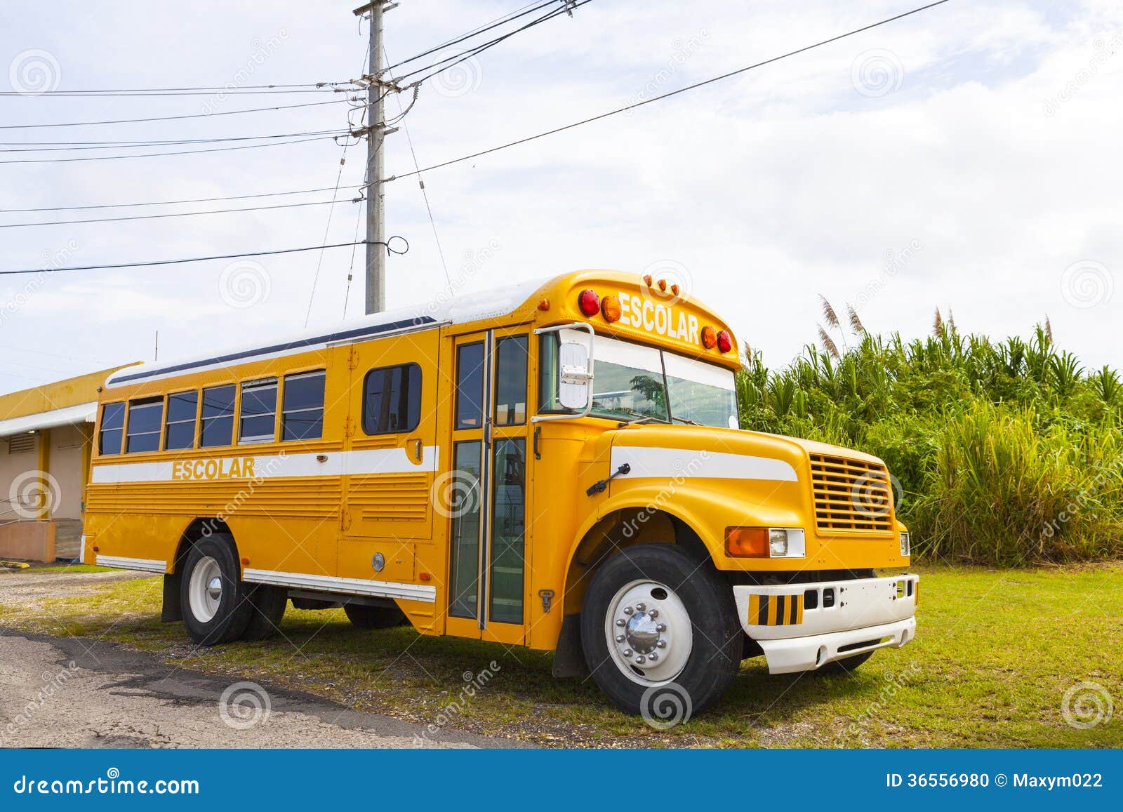 Bus Escolar Stock Photos - Free & Royalty-Free Stock Photos from Dreamstime
