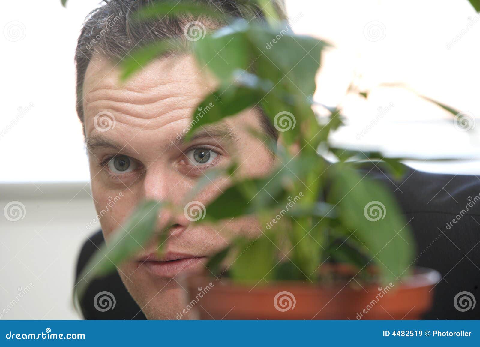 Esconder imagem de stock. Imagem de revestimento, povos - 4482519