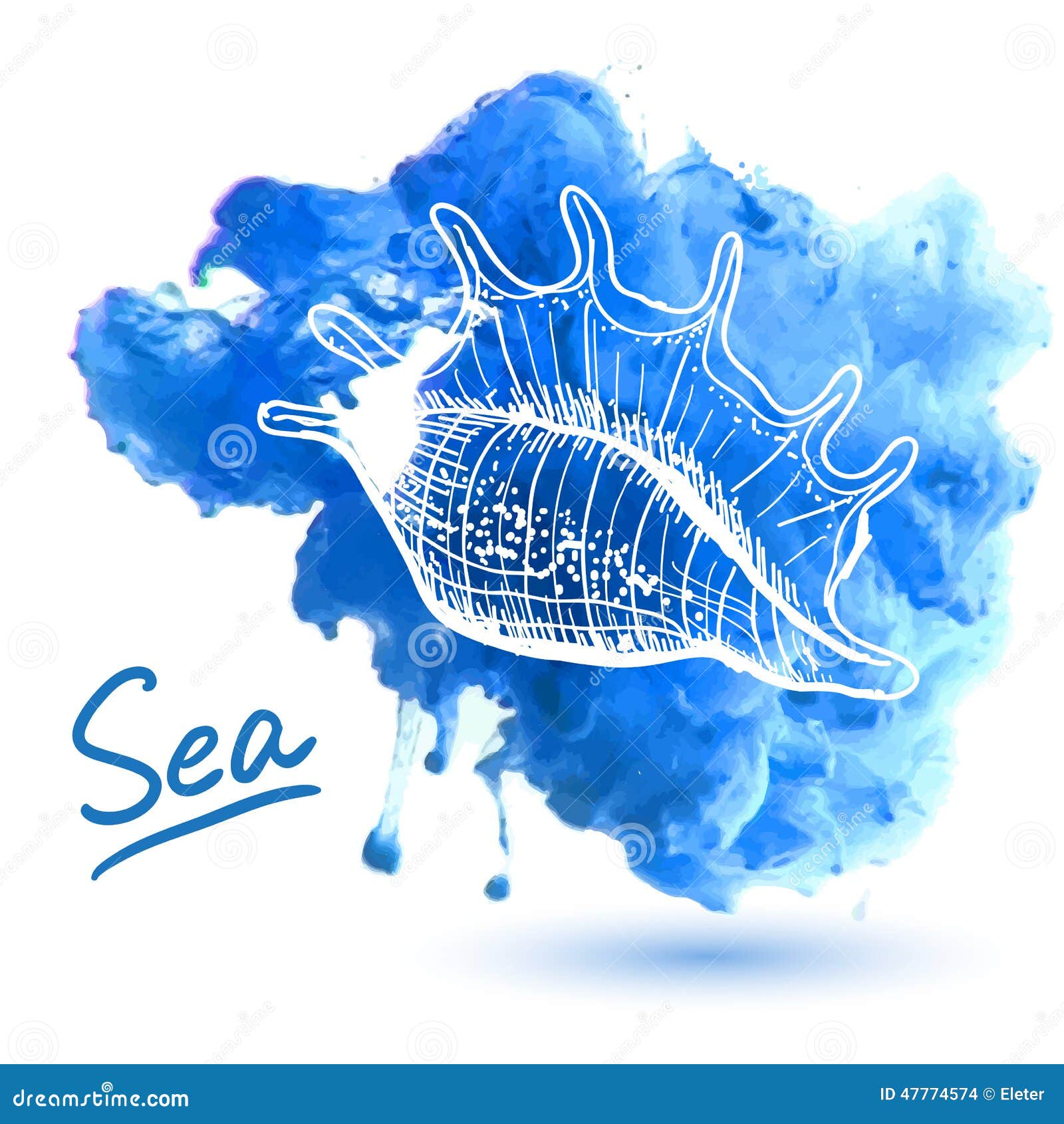 Escudo do mar ilustração do vetor. Ilustração de elemento - 47774574