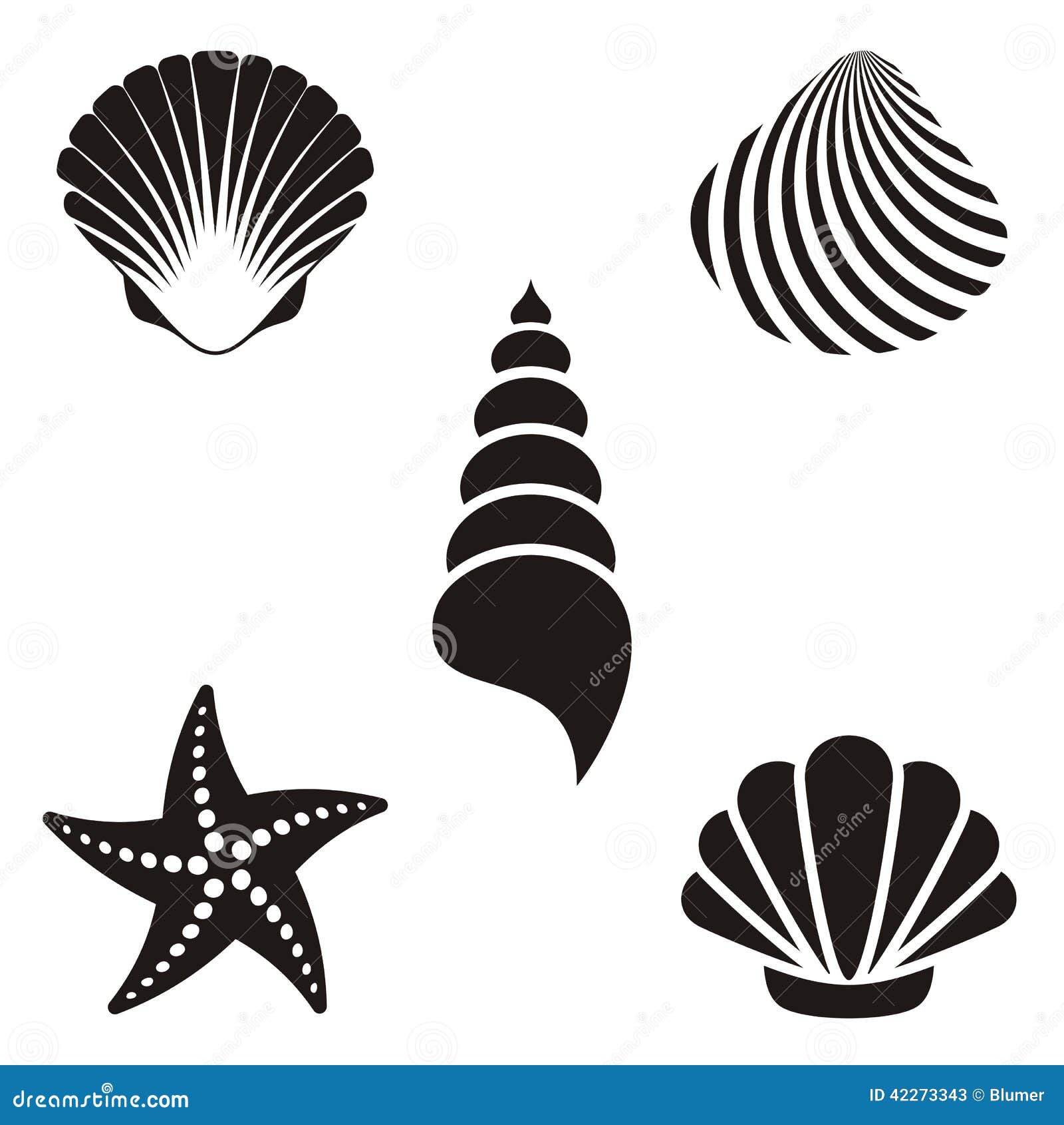 Escudos do mar ilustração do vetor. Ilustração de vieira - 42273343