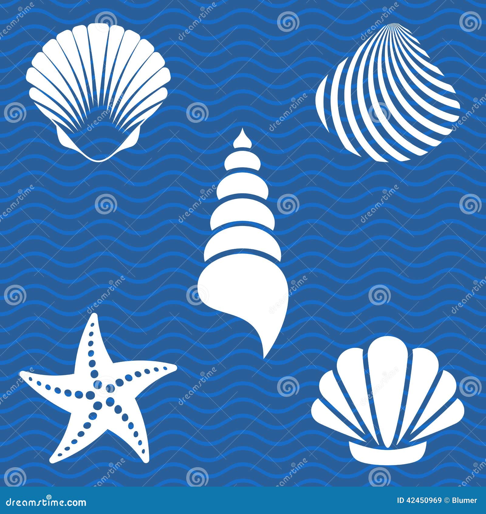 Escudos do mar ilustração do vetor. Ilustração de animal - 42450969