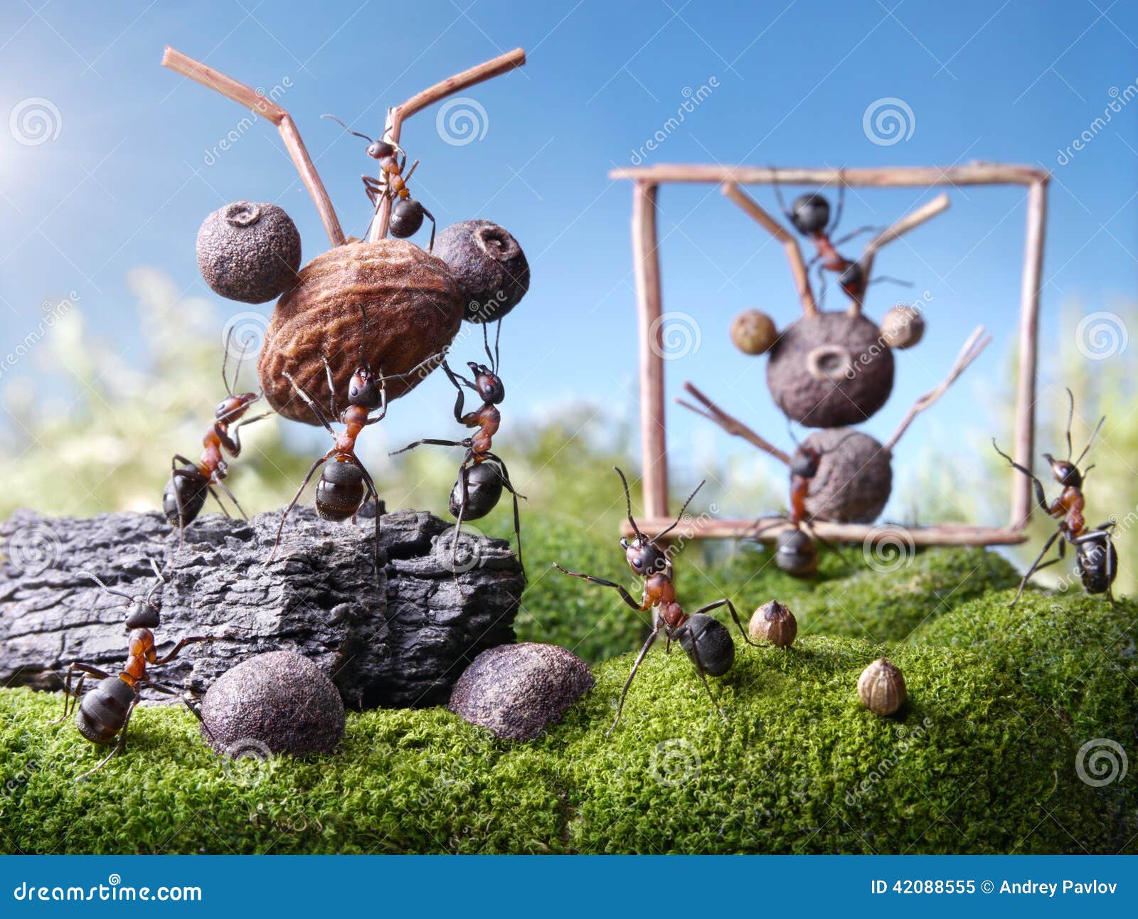 Escultores Das Formigas, Contos Da Formiga Imagem de Stock - Imagem de ...