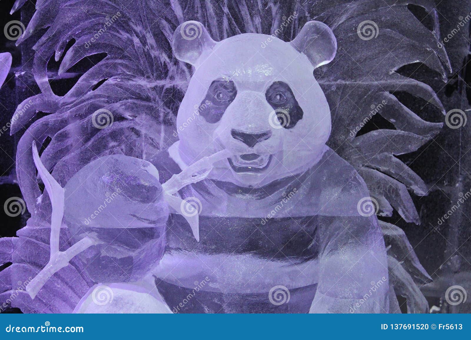Escultura De Panda Bear Feito Do Gelo Imagem Editorial - Imagem de arbusto, neve: 137691520