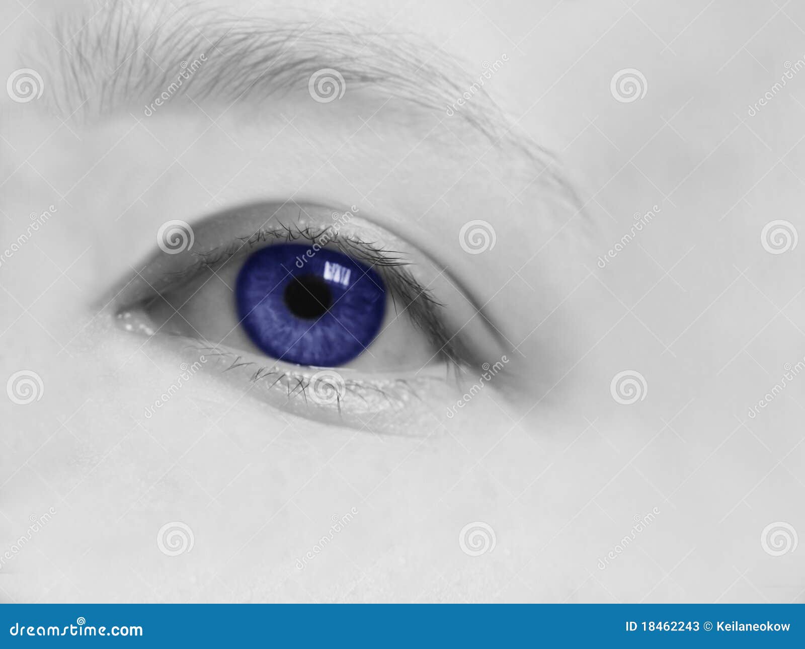 Escuro - olhos azuis imagem de stock. Imagem de detalhe - 18462243