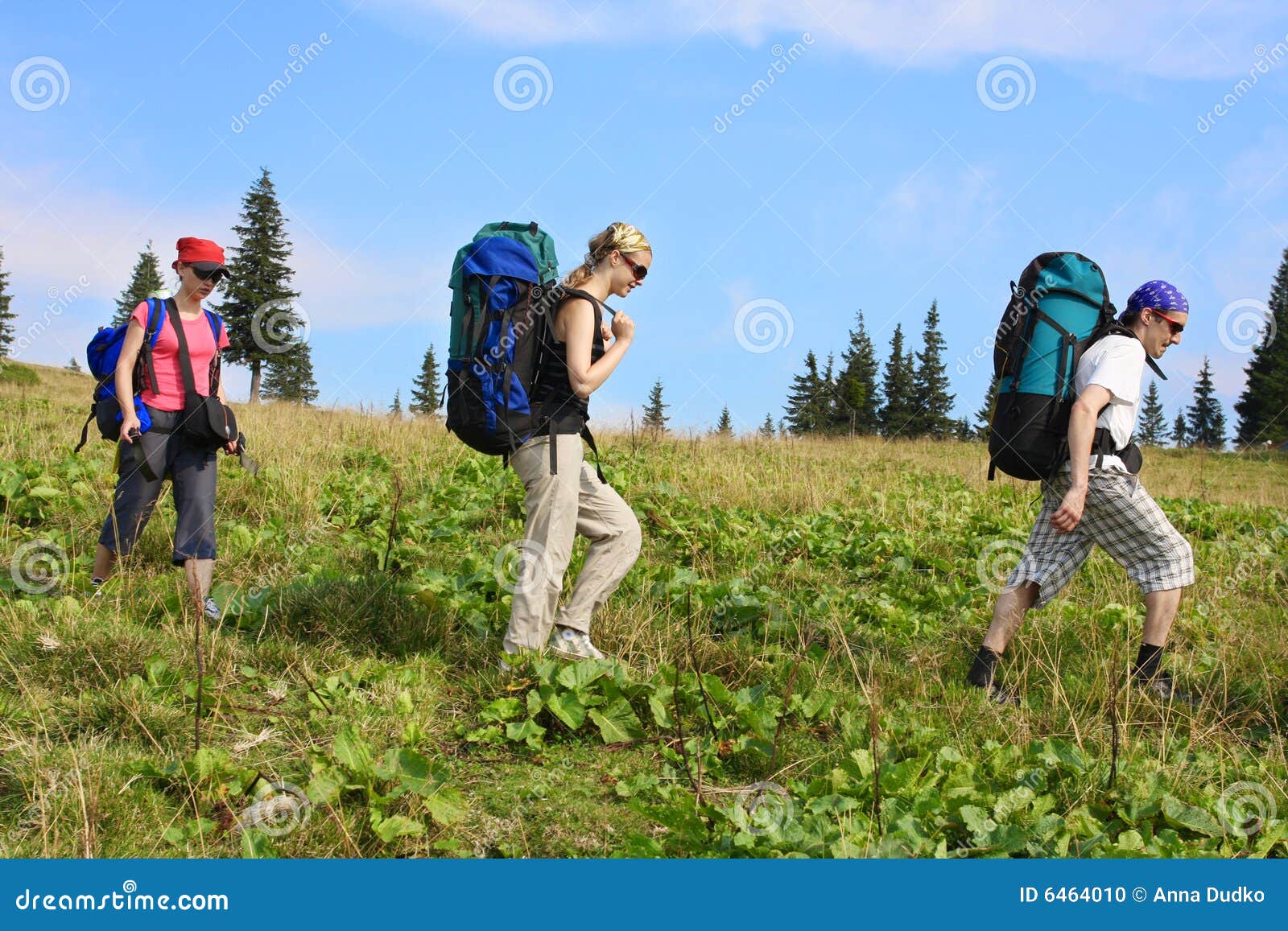 Escursione fotografia stock. Immagine di azionamento, parco - 6464010