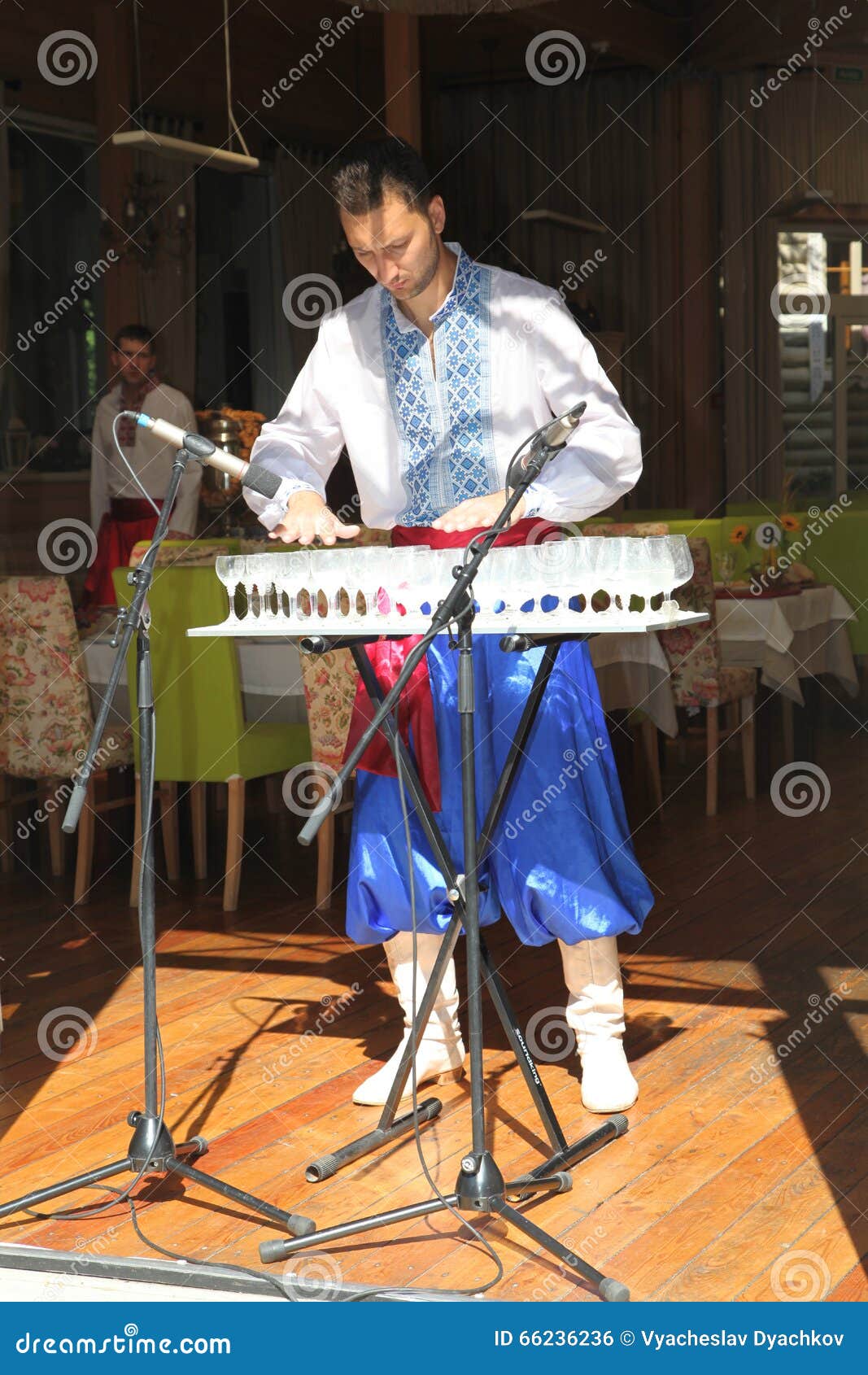 Esecutore Di Musica Dell'arpa Di Vetro Nel Costume Ucraino Nazionale ... Esecutore Di Musica Dell'arpa Di Vetro Nel Costume Ucraino Nazionale ...