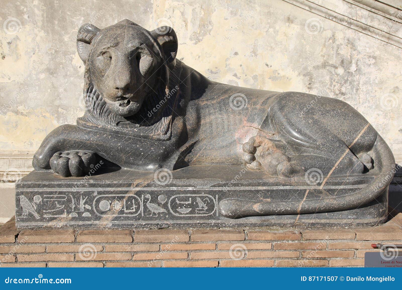 Esfinge de Nectanebus fotografia editorial. Imagem de museus - 87171507