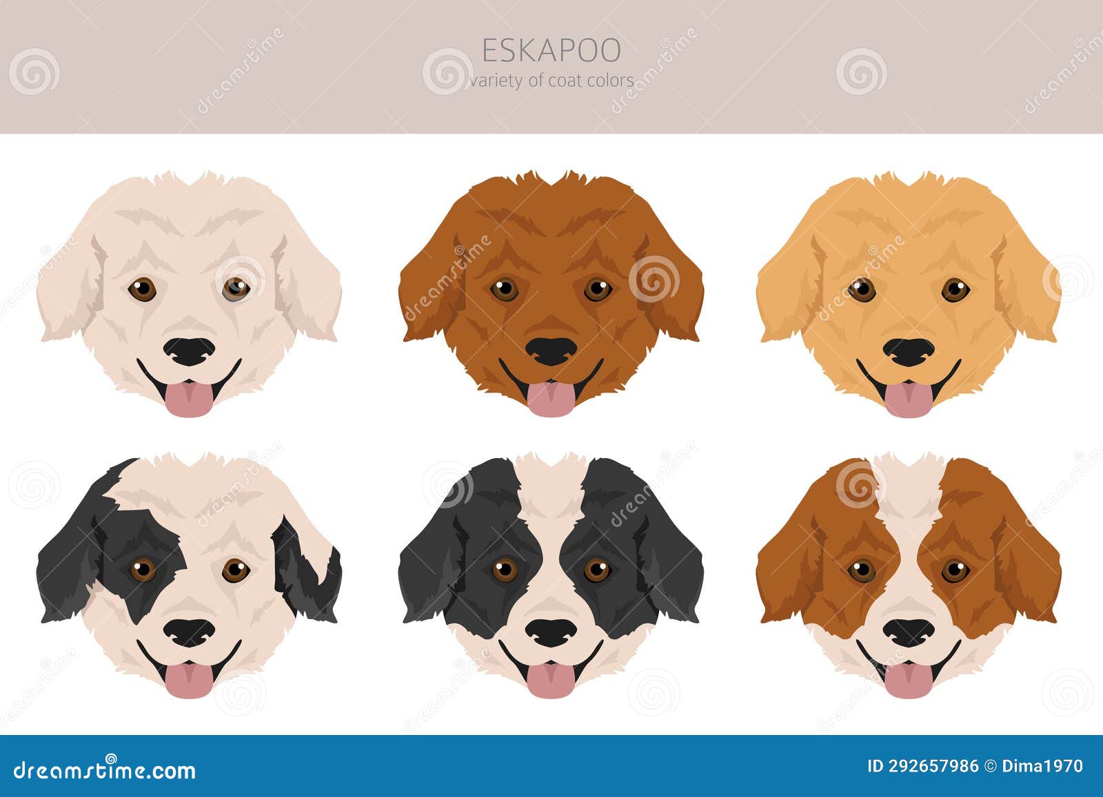 Eskapoo Clipart. Eskimo Dog Poodle Mix Stock Vector - Illustration of ...