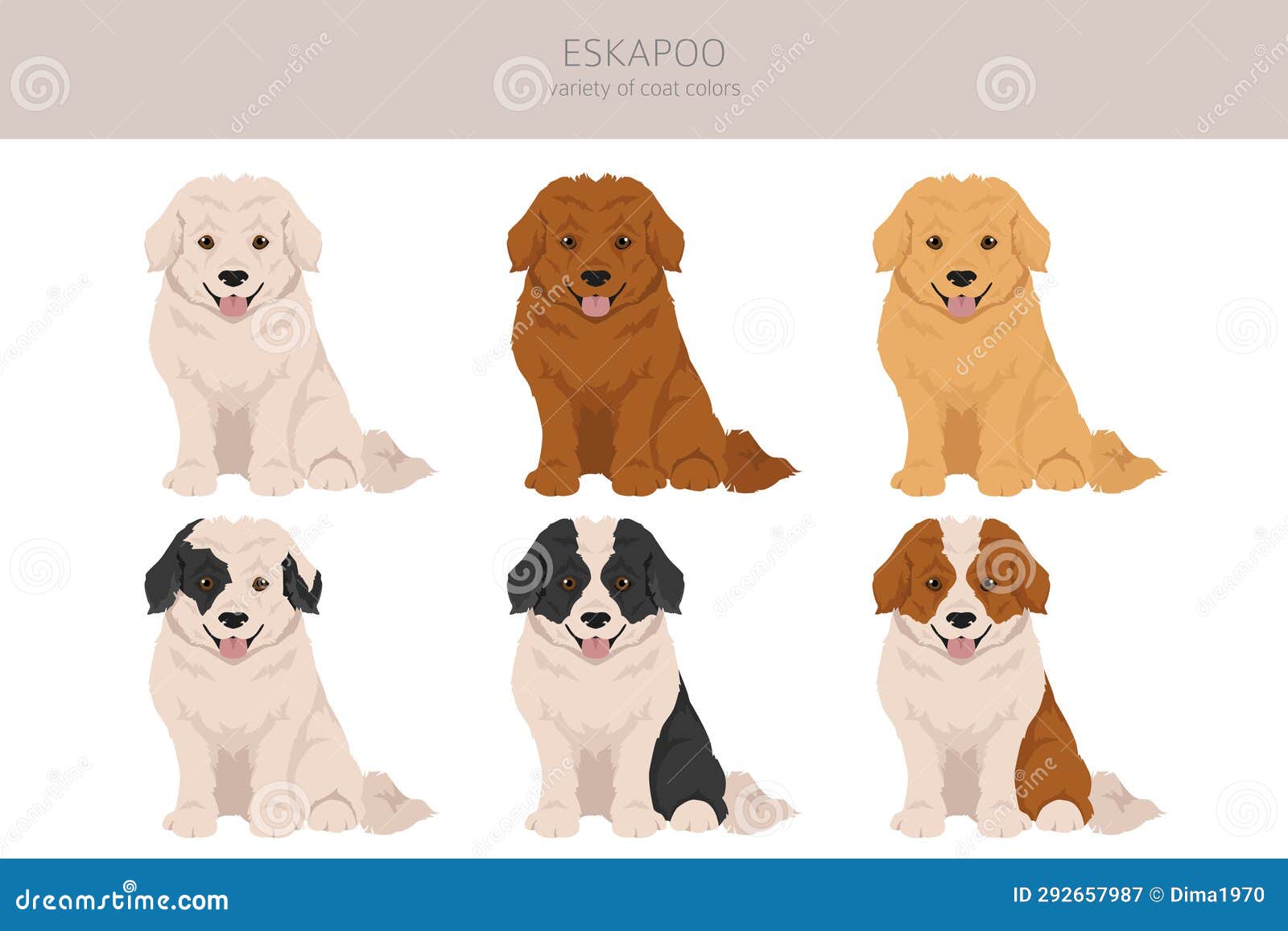 Eskapoo Clipart. Eskimo Dog Poodle Mix Stock Vector - Illustration of ...