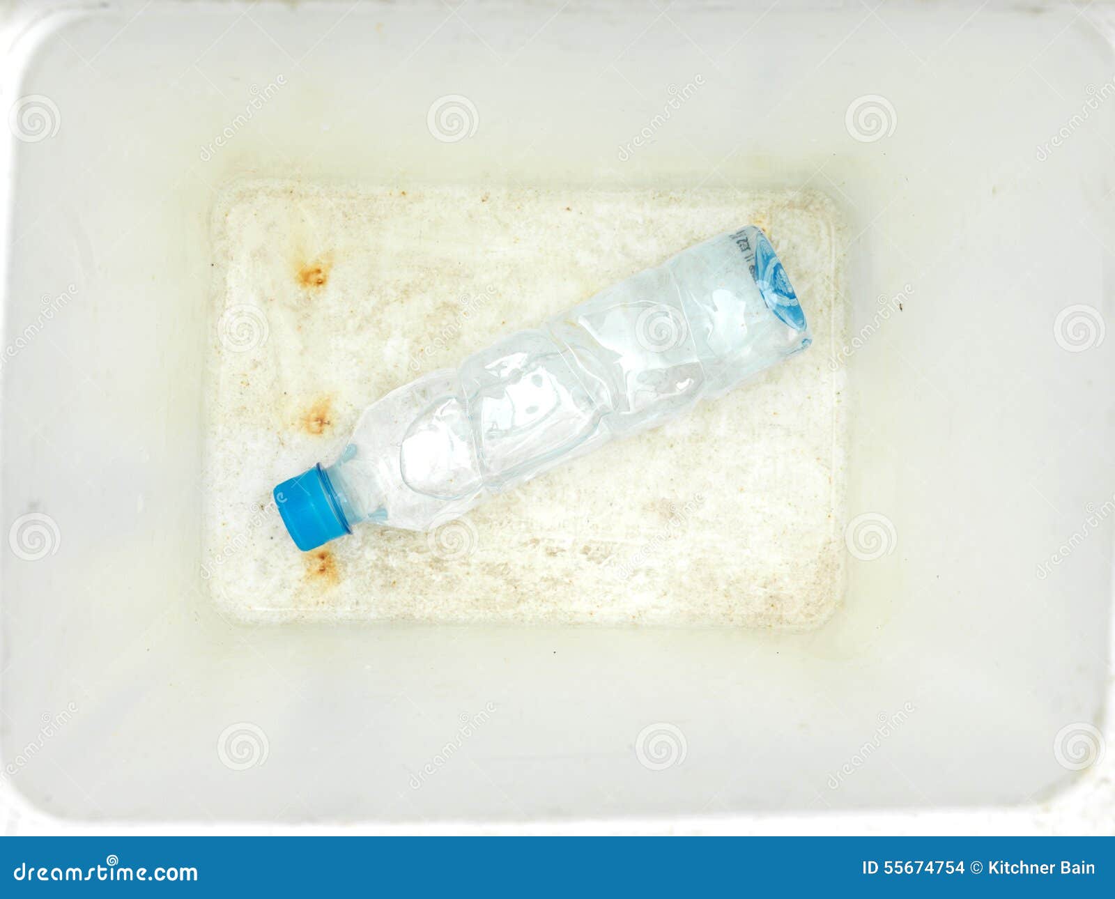 Esky stock photo. Image of summer, esky, cooler, beverages - 55674754