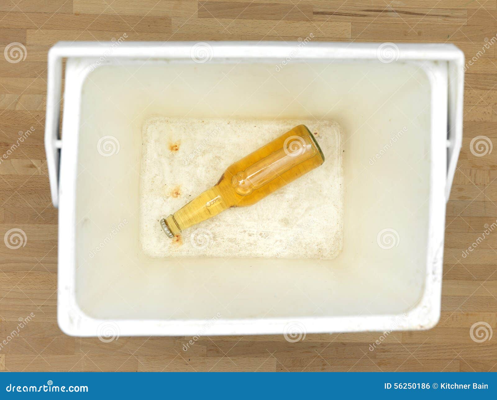 Esky stock photo. Image of holidays, beverages, colorful - 56250186