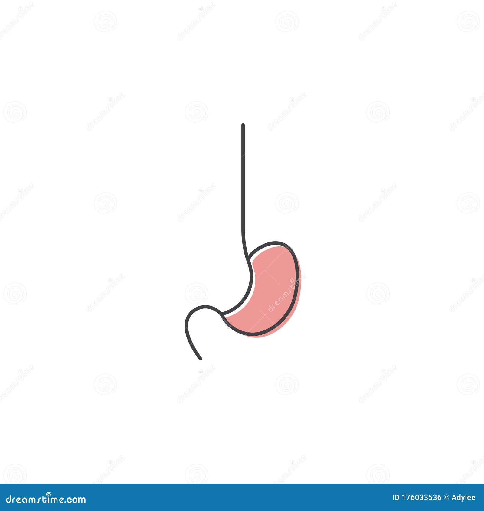 Esophagus Vector Icon Symbol Anatomy Isolated on White Background Stock ...
