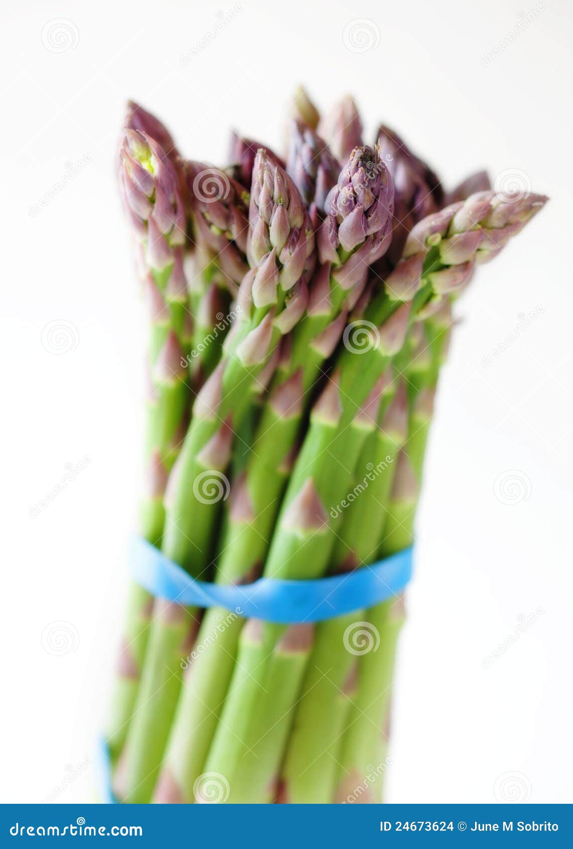 Espargos foto de stock. Imagem de florete, fresco, alimento - 24673624