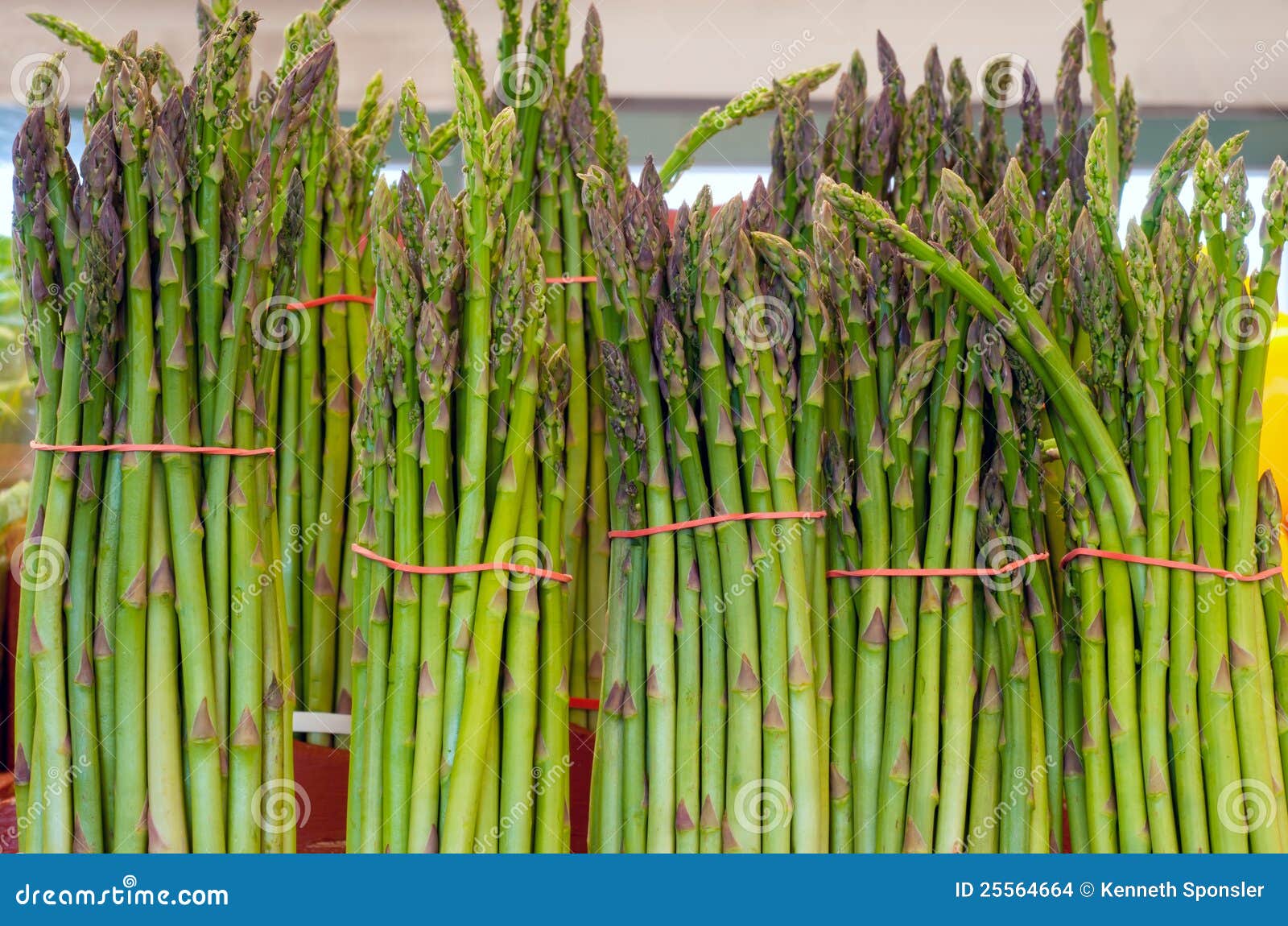 Espargos frescos foto de stock. Imagem de faixas, vegetais - 25564664