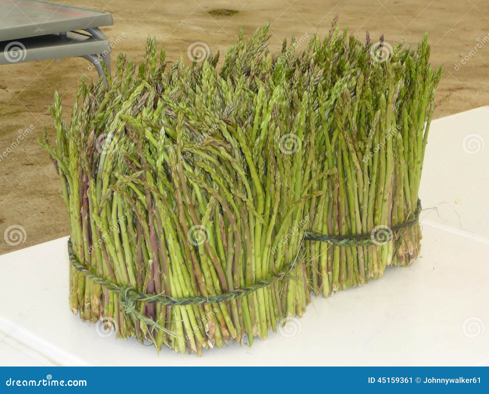 Espargos selvagens imagem de stock. Imagem de alimento - 45159361