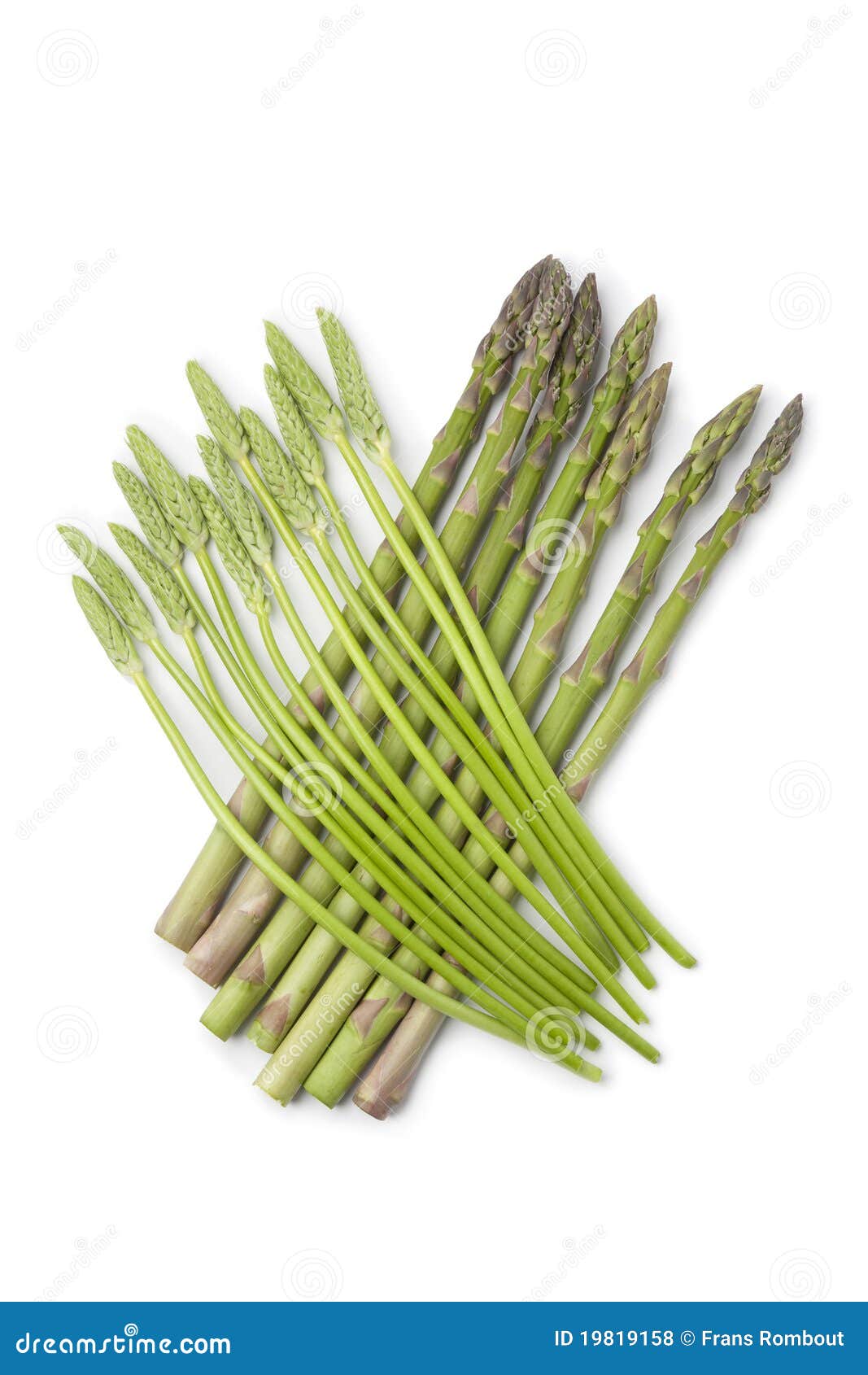 Espargos verdes foto de stock. Imagem de alimento, espargos - 19819158