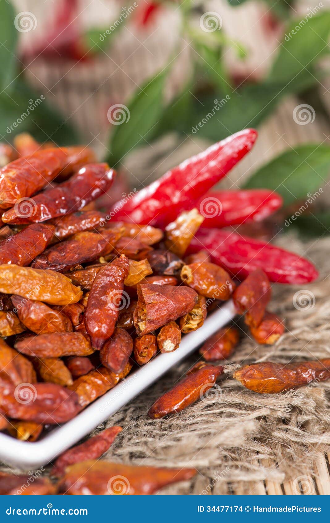 Especia de los chiles foto de archivo. Imagen de nadie - 34477174