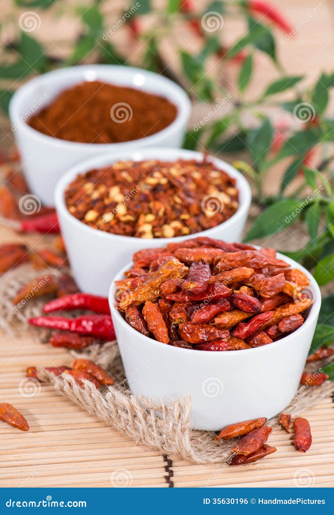 Especia de los chiles foto de archivo. Imagen de calor - 35630196