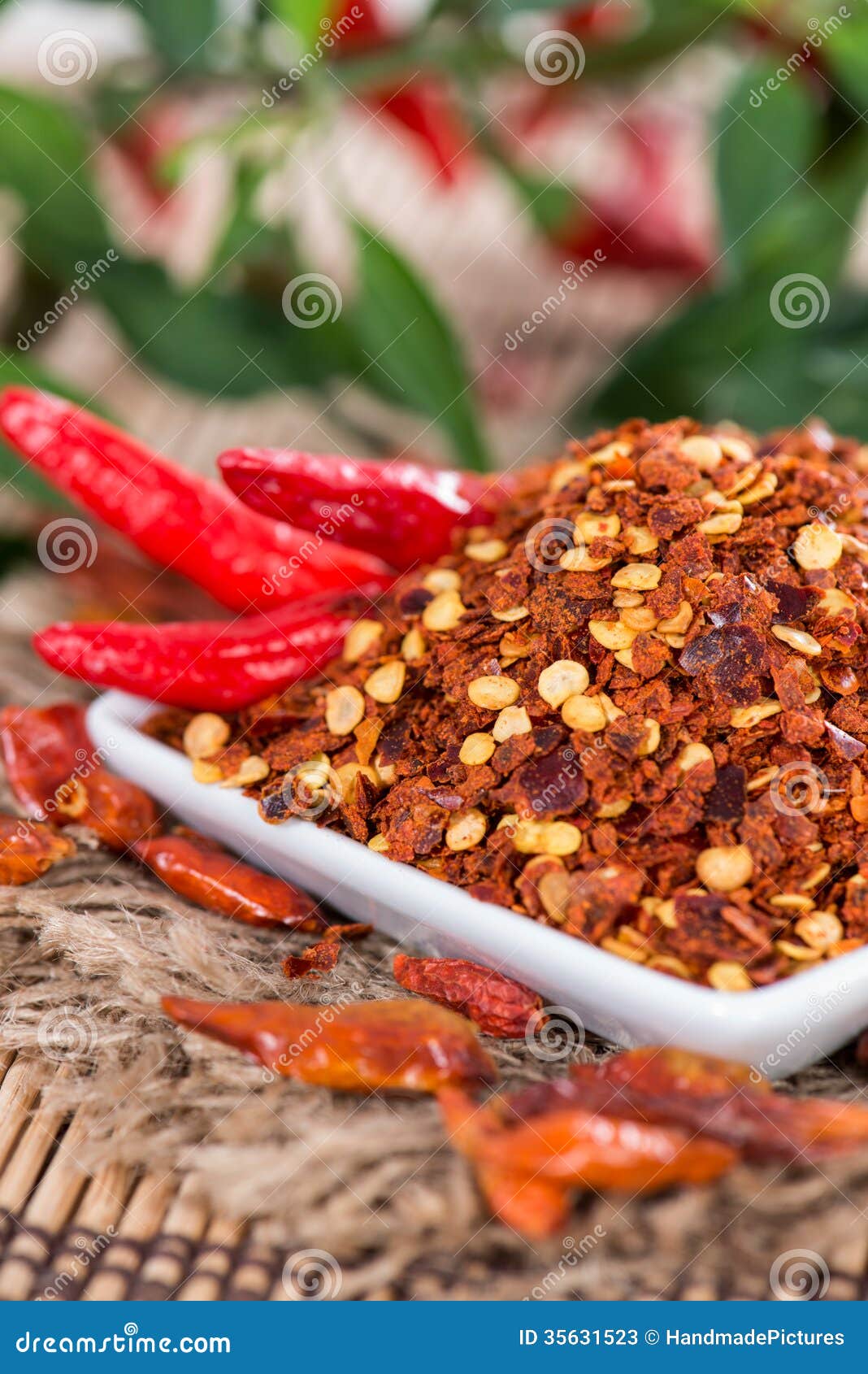 Especia de los chiles imagen de archivo. Imagen de hierbas - 35631523