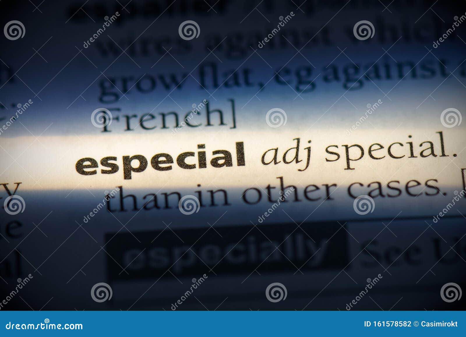 Especial stock photo. Image of thesaurus, detail, meaning - 161578582