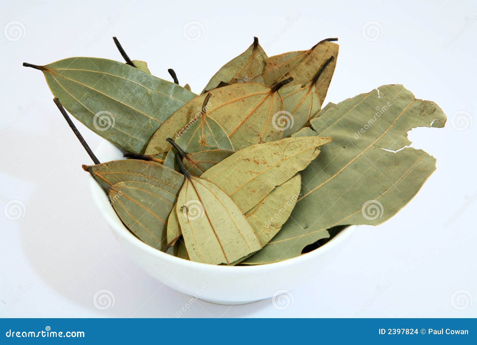 Especias 13 del indio foto de archivo. Imagen de laurel - 2397824