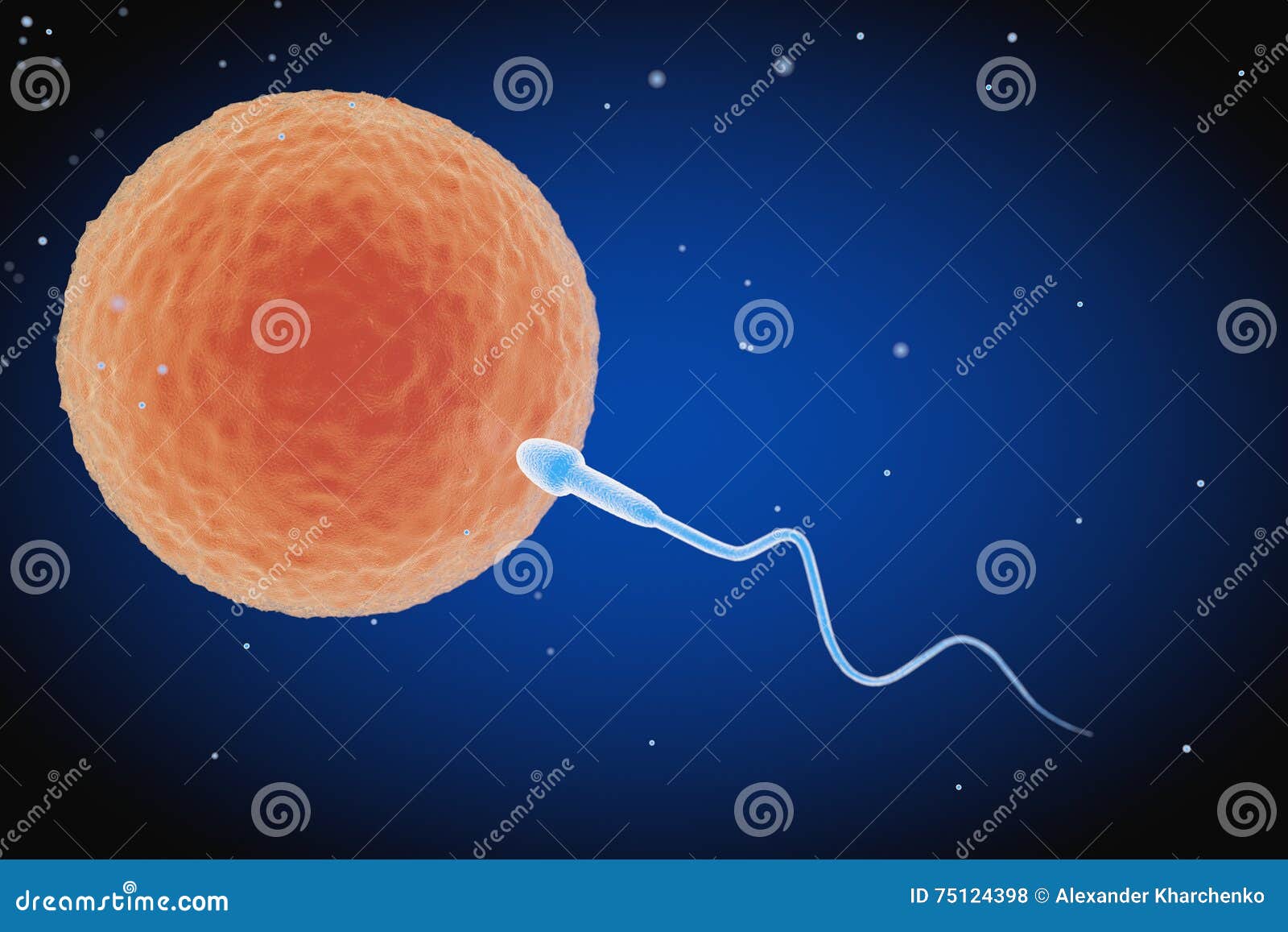 Espermatozoide Que Va Al óvulo Representación 3d Stock de ilustración ...