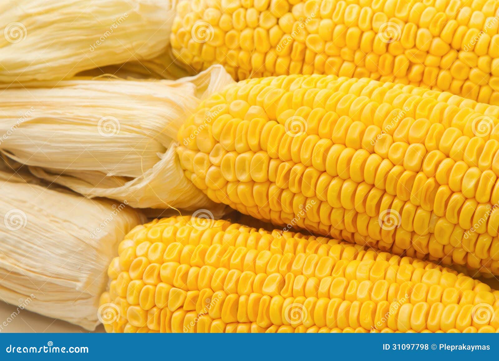 Espiga De Milho Doce Amarela Foto de Stock - Imagem de vegetariano, milho: 31097798