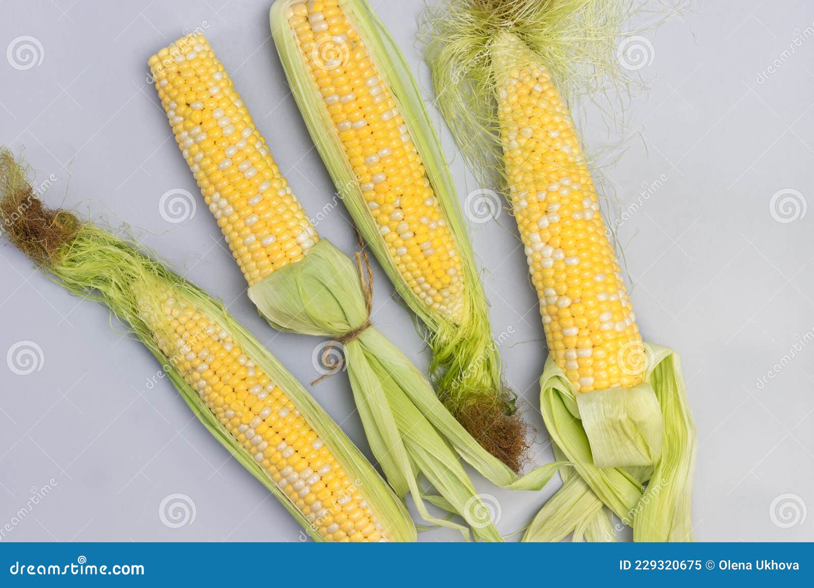 Espigas De Milho Cru Com Folhas E Milho Com Seda Imagem de Stock ...