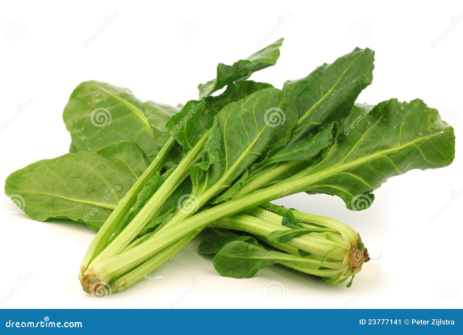 Espinaca China (aquatica Del Ipomoea) Imagen de archivo - Imagen de ...