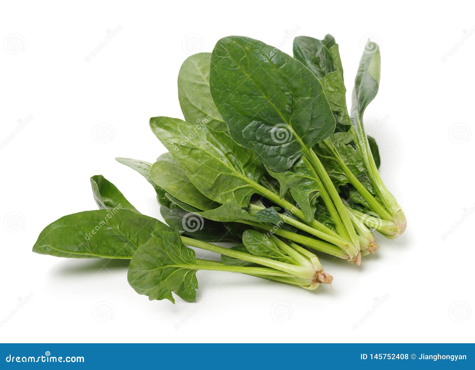 Espinaca En El Fondo Blanco Foto de archivo - Imagen de ensalada, crudo ...