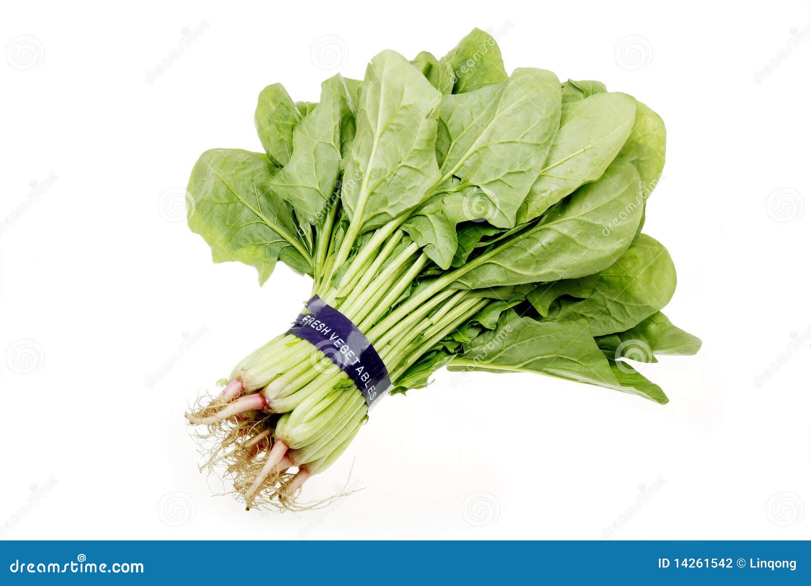 Espinaca fresca foto de archivo. Imagen de fresco, comprado - 14261542