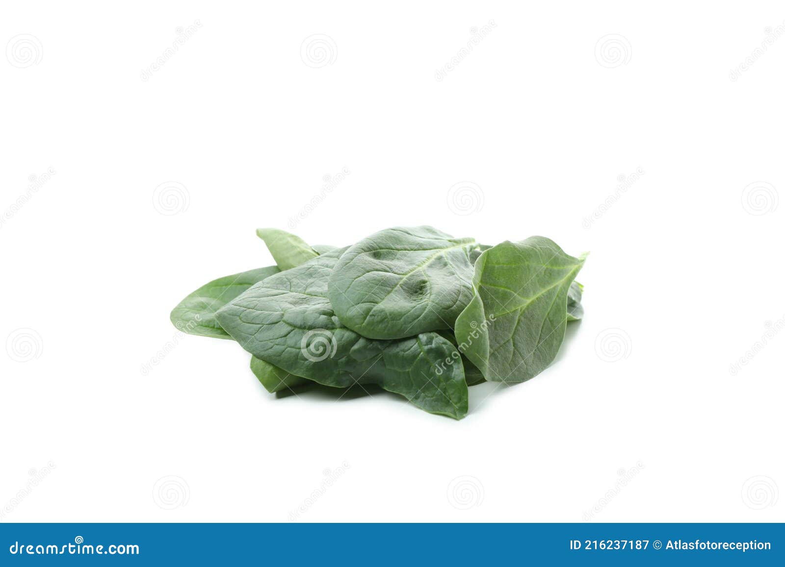 Espinaca Fresca Cruda Aislada Sobre Fondo Blanco Imagen de archivo ...