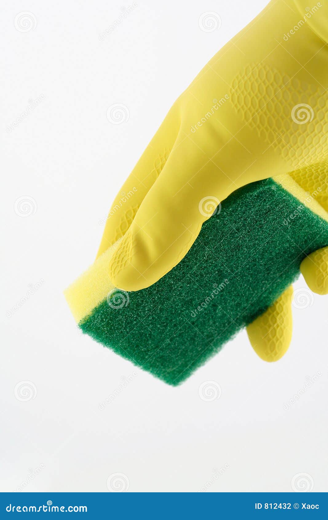 Esponja De La Explotación Agrícola De La Mano Foto de archivo - Imagen ...