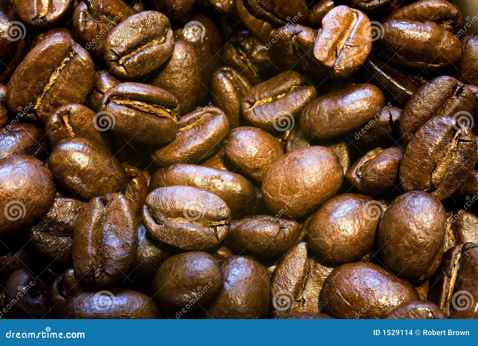 Espresso Beans stock photo. Image of roasted, coffee, brown - 1529114