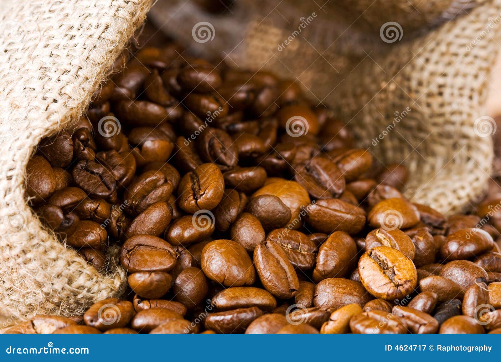 Espresso beans stock image. Image of natural, caffeine - 4624717