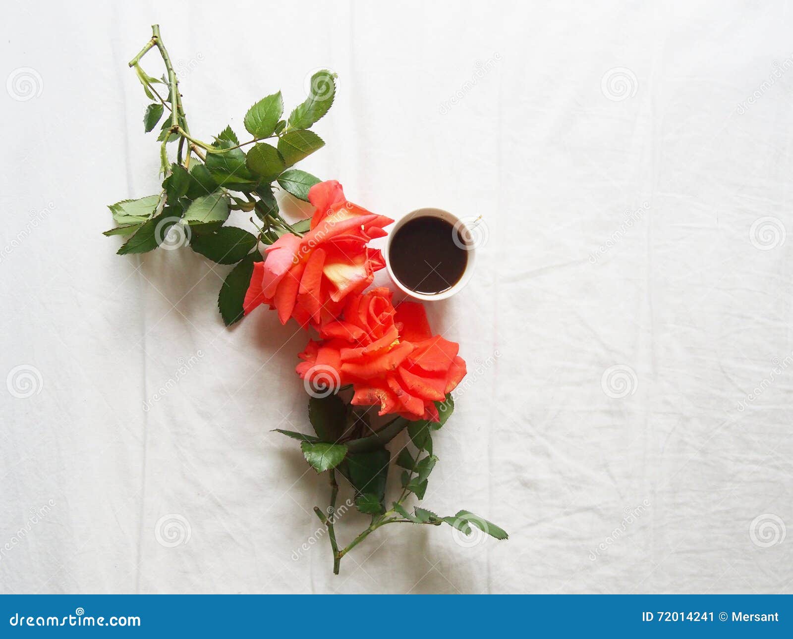 Espresso with roses stock image. Image of blossom, bloom - 72014241