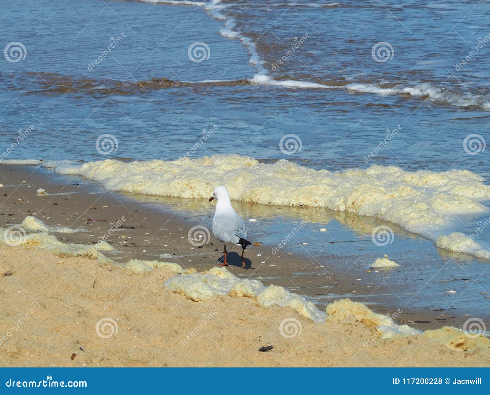 Espuma Do Mar Igualmente Conhecida Como O Spume Foto de Stock - Imagem ...