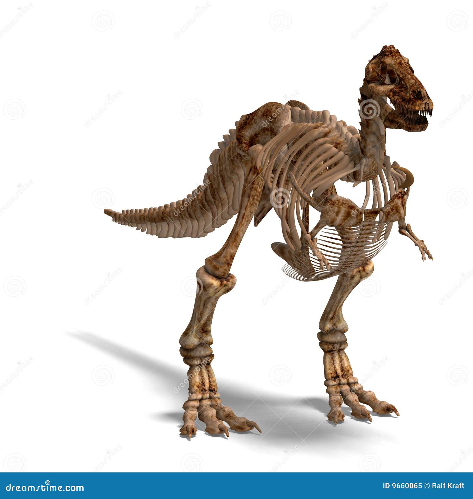 Esqueleto de T-Rex ilustração stock. Ilustração de dado - 9660065