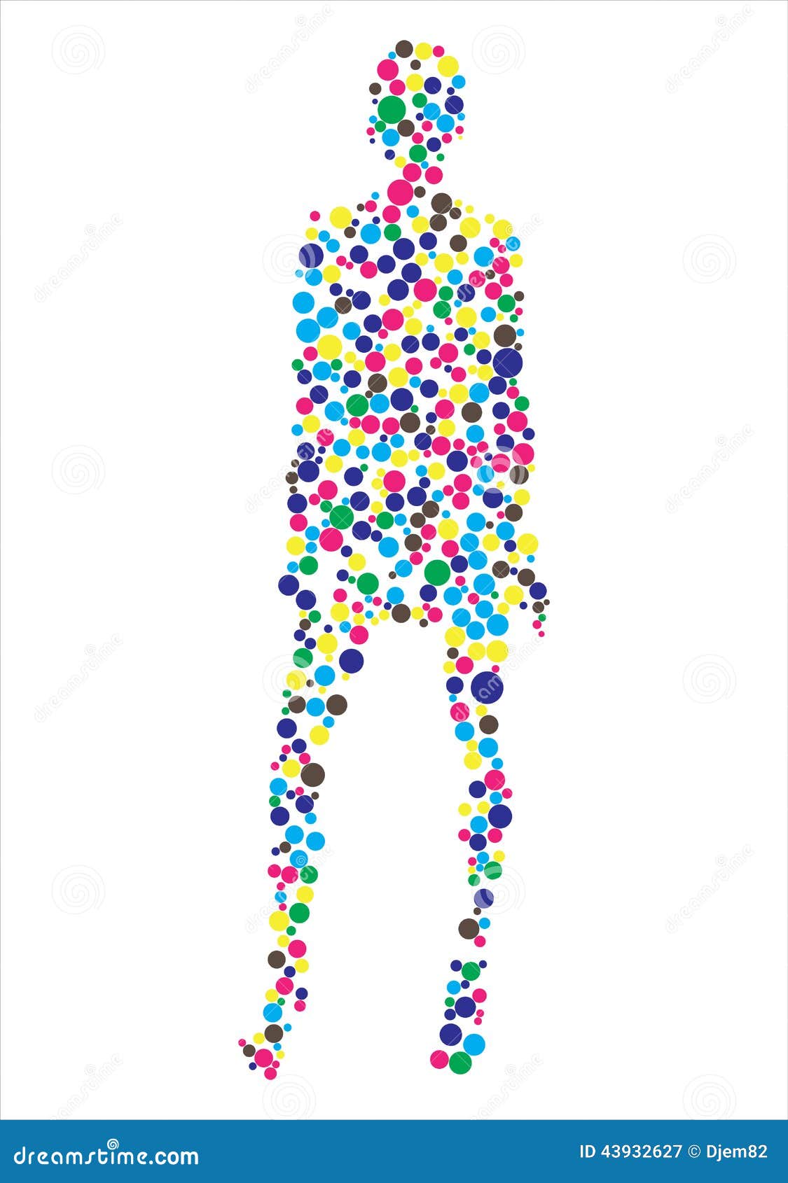 Esquema Del Cuerpo Humano Del Vector Ilustración del Vector ...